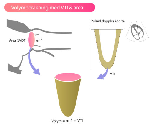 Slagvolym, VTI (Velocity Time Integral) & Cardiac Output - Klinisk ...