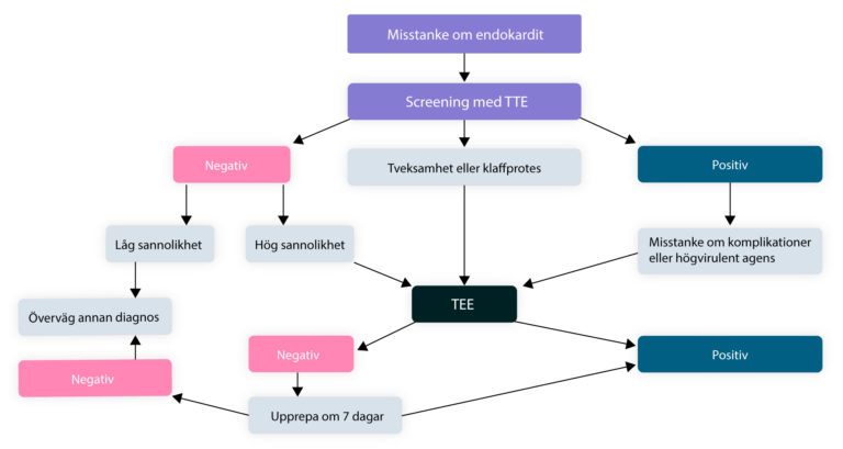 Endokardit - Klinisk diagnostik