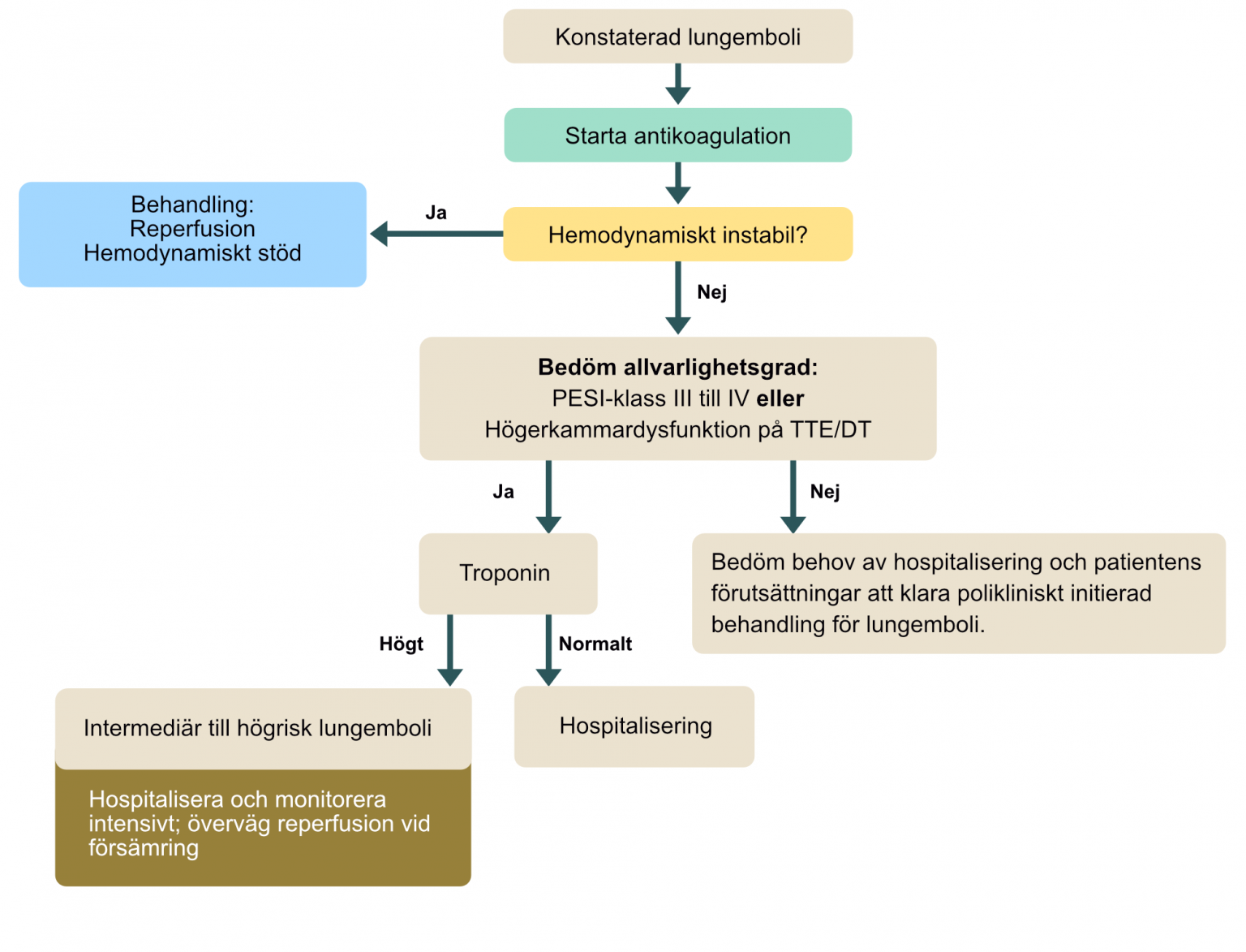 Lungemboli - Symptom, riskfaktorer, utredning, kriterier, behandling