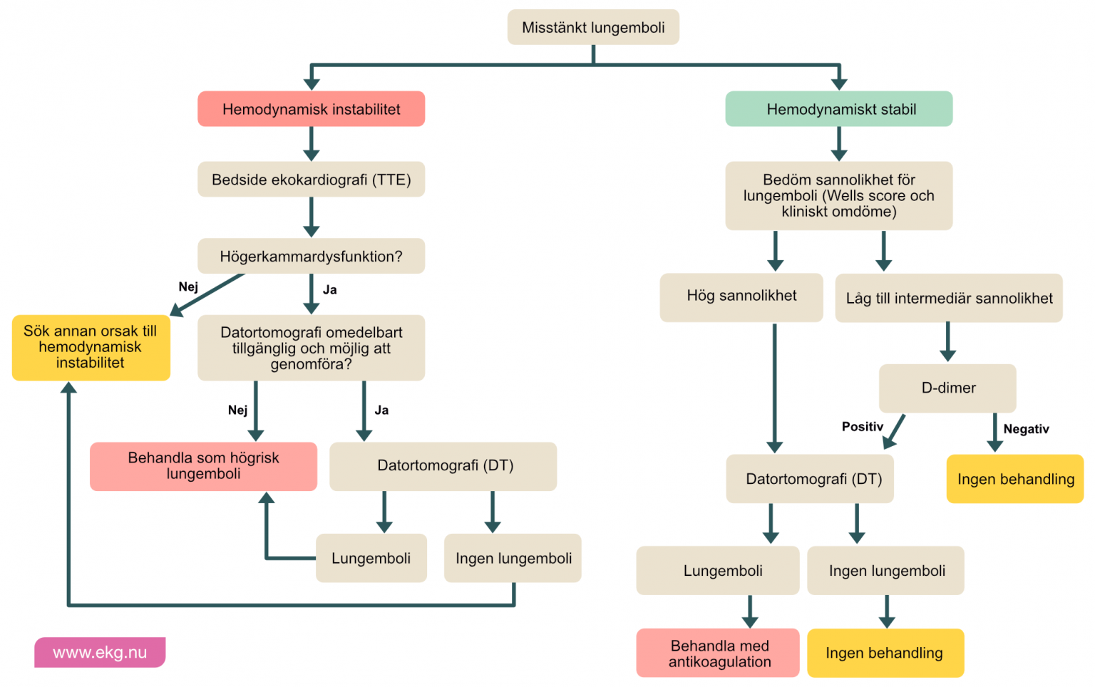 Lungemboli - Symptom, riskfaktorer, utredning, kriterier, behandling